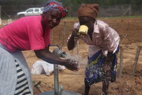 Our Policies | Dabane